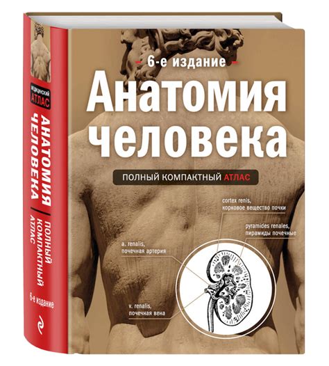 Книга "Анатомия человека: полный компактный атлас. 6-е издание ...