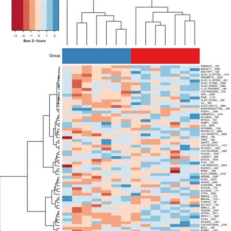 Unsupervised Hierarchical Clustering Euclidian Distance Complete Download Scientific Diagram