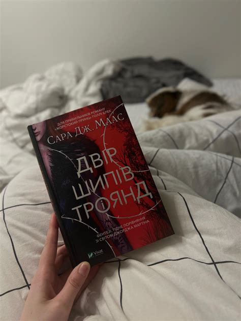 тепер і я застрягла в цій серії книг ACOTAR нагадування: не дивіться ...