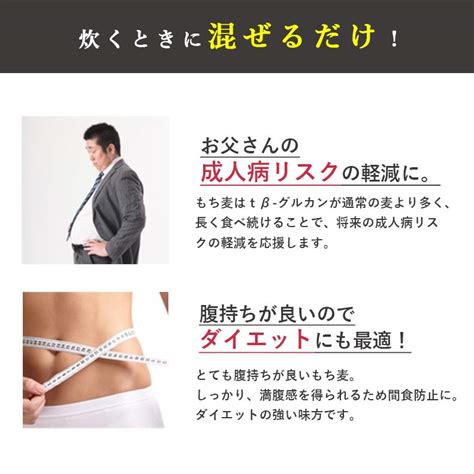 400g×12袋 小粒タイプ 国産ダイシモチ100 にっぽんのもち麦 桑郷 オンラインショップ