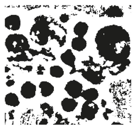 Visual Cell Nuclei Segmented Using Twelve Segmentation Methods A Download Scientific Diagram