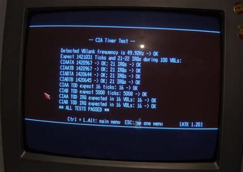 For Sale SUPER DENISE DIL PLCC AGNUS CIA Chips PAULA GAYLE AmiBay