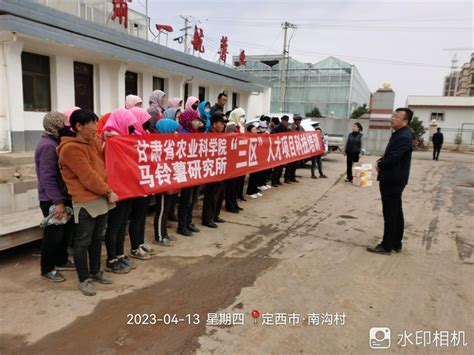 三抓三促在行动马铃薯研究所科技人员赴渭源县开展三区科技培训 甘肃省农业科学院 马铃薯研究所