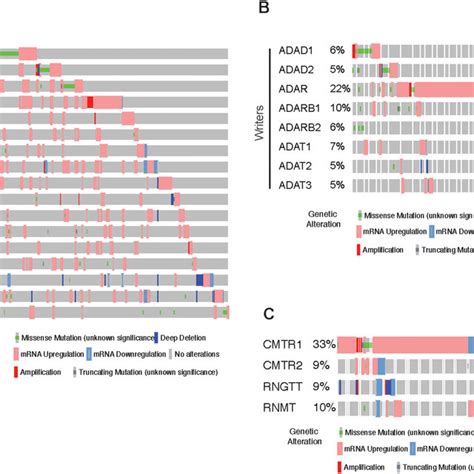 Analysis Of Expression Of Rna Modification Regulatory Proteins In
