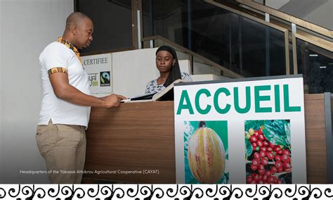 Chocolate Week Exploring The Cocoa Supply Chain