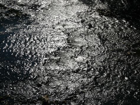 무료 이미지 나무 물 검정색과 흰색 햇빛 조직 강 아스팔트 흙 어둠 단색화 기분 흑백 사진 3264x2448 946245 무료 이미지