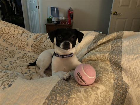 She Loves Her New Toy Raww