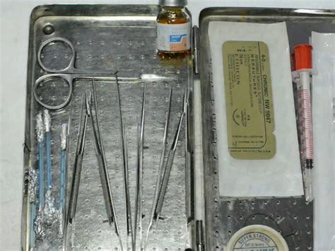 Video Intrasplenic Transplantation Of Hepatocytes After Partial Hepatectomy In Nod Scid Mice