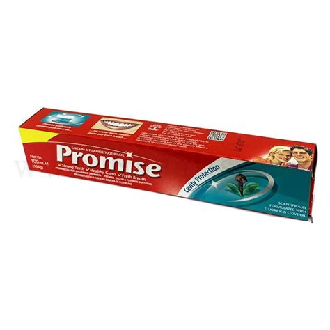 Promise Toothpaste 100ml