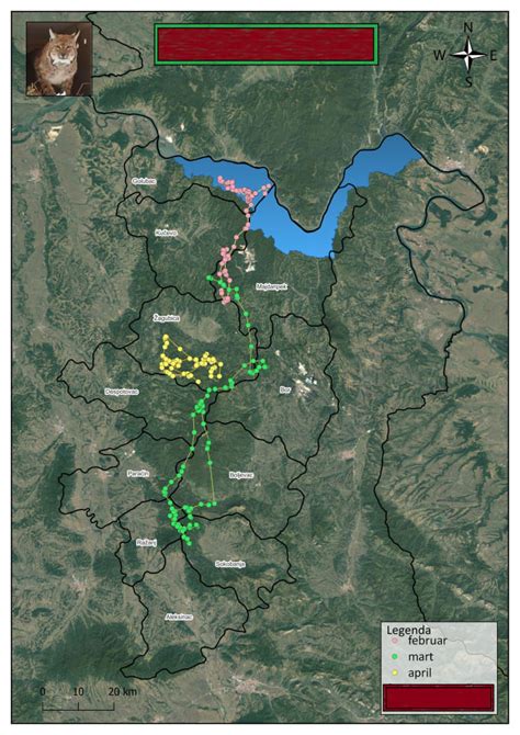 Visualization Your Map Data With Arcmap By Aleksandar Ost Fiverr