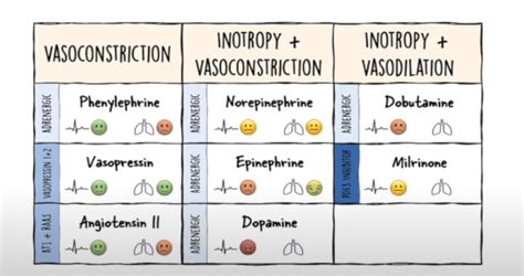 Here Is The Outstanding Chart That Dr Crager Gives Us