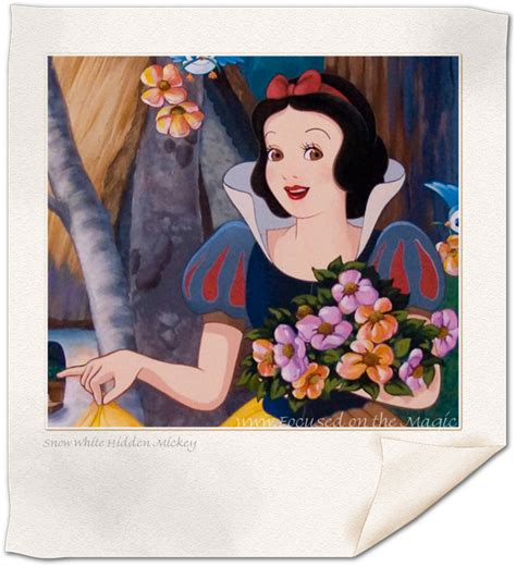 Wordless Wednesday ~ Hidden Mickey Focused On The Magic Wordless Wednesday ~ Hidden Mickey