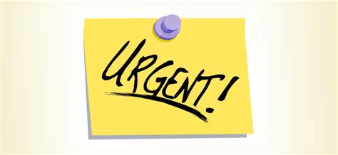 Vérification des données de diplômes Urgent deuxièmes années et LP
