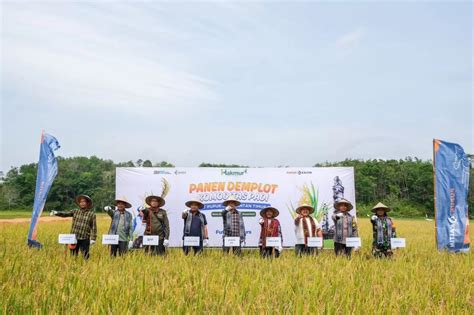 Dukung Produktivitas Pangan Di Ikn Pupuk Kaltim Luncurkan Program