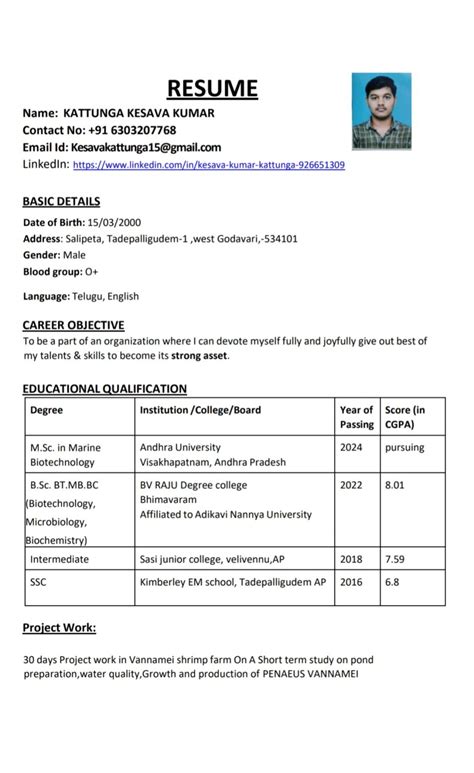 Kesava Kumar Kattunga On Linkedin Dear Hiring Team And Hr Are You Looking For A Bsc