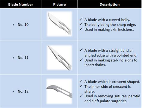 100 Sterile Surgical Blades With Free Scalpel Knife Handle Medical Dental Tools Atelier Yuwa