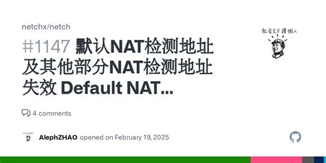 默认nat检测地址及其他部分nat检测地址失效 Default Nat Detection Address And Some Other