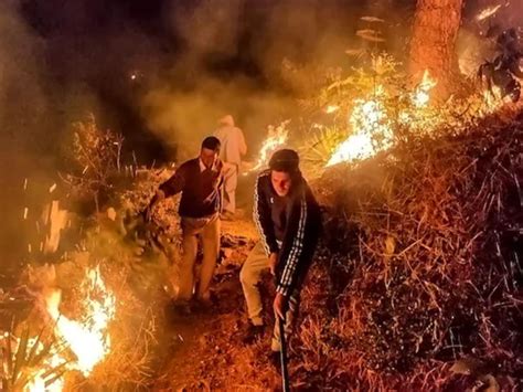 Uttarakhand Forest Fire Woman Burnt While Saving Her Farm Dies During