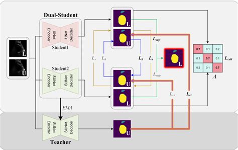 논문 리뷰 Intrapartum Ultrasound Image Segmentation Of Pubic Symphysis And Fetal Head Using Dual