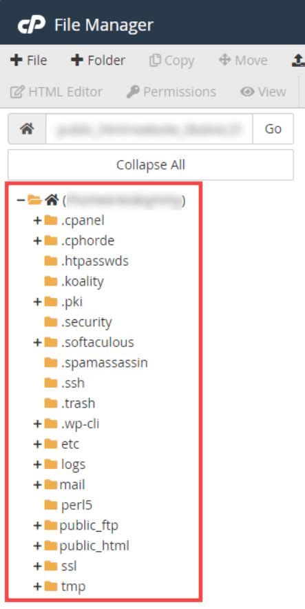 How To Change Your Domain Name Without Losing SEO 2025