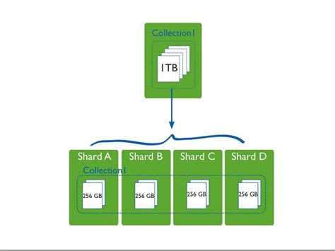 Mongodb In A Nutshell By W2iktor