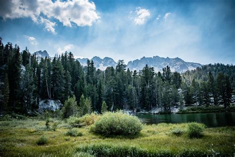 Forest Climate Working Group On Linkedin Our Forest Based Climate