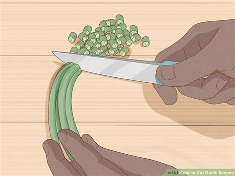 How To Cut Garlic Scapes 9 Steps With Pictures Wikihow
