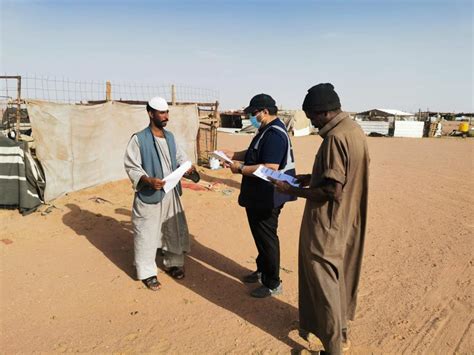 صحة حائل تواصل تتفيذ حملتها التوعوية عن الحمى المالطية أضواء الوطن