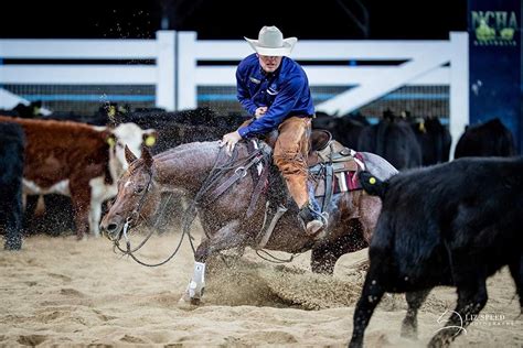 Lincoln Veraart Select Sires