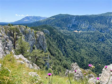 Wandelen In Durmitor National Park Montenegro