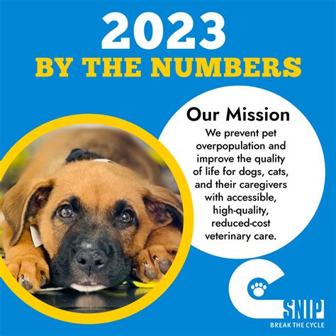 Csnips 2023 Impact Report Csnip