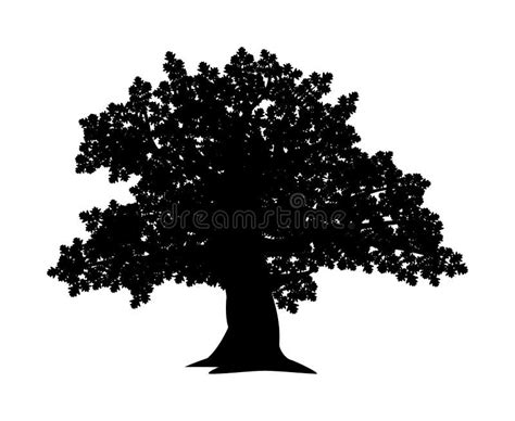 Vector Silhouette Of Oak Tree Isolated Vector Silhouette Of Oak Tree