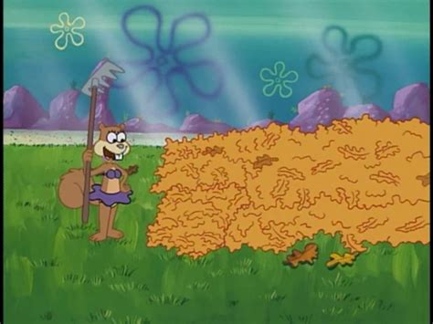 Sandy Cheeksgalleryprehibernation Week Spongebob Galaxy Wiki Fandom
