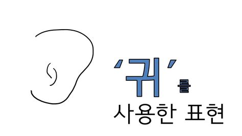 한국의 재미있는 표현 11 귀를 사용한 표현 Youtube