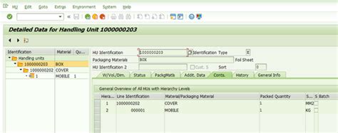 Handling Unit In Production Discrete And Rem Ste Sap Community