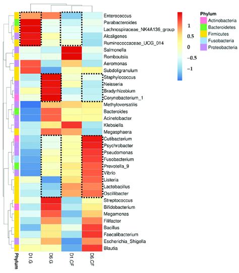 Heat Map And Hierarchical Clustering Of Genera Of Bacterial Download Scientific Diagram