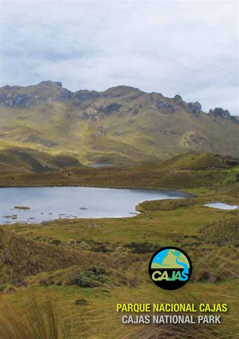 Anfibios Reptiles Y Peces Del Parque Nacional Cajas DocsLib