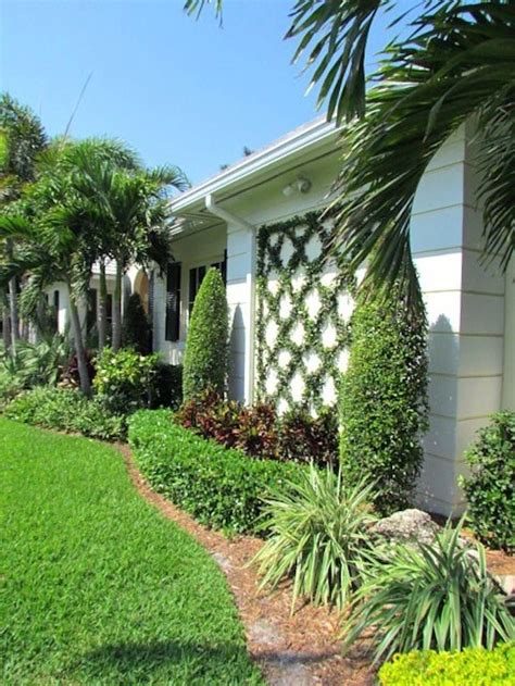 Our Landscaping Tropical Landscape Miami By Delray Garden