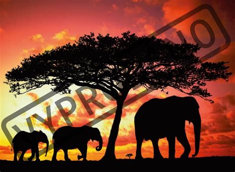 Ravensburger Puzzle Západ Slunce V Africe 500 Dílků Puzzle Puzzlecz
