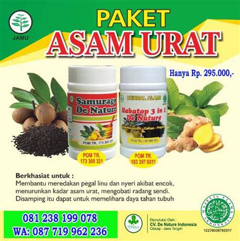 Cara Pembuatan Simplisia Daun Salam ~ Tutorin