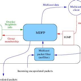 Overview Of Multicast Implementation Download Scientific Diagram
