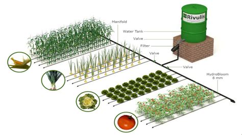Drip Irrigation Indrayani Agro Shadenet Manufacturer Drip