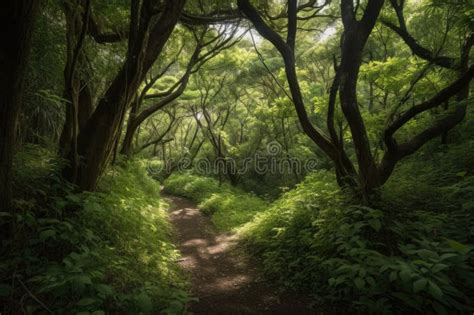 Overhead Canopy Stock Illustrations 98 Overhead Canopy Stock