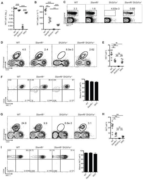 The Receptor Ly108 Functions As A Sap Adaptor Dependent On Off Switch For T Cell Help To B Cells