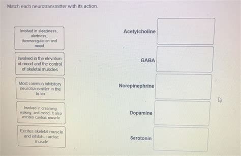 Solved Match Each Neurotransmitter With Its Action