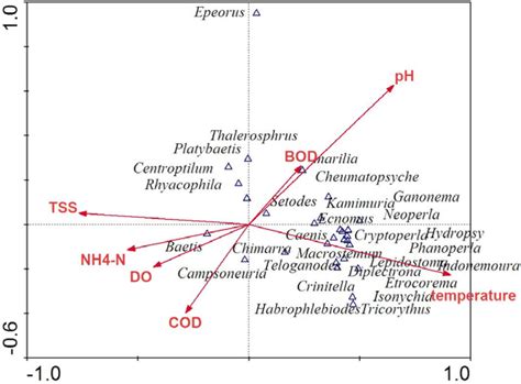 First Two Axes From Canonical Correspondence Analysis Cca Of Download Scientific Diagram