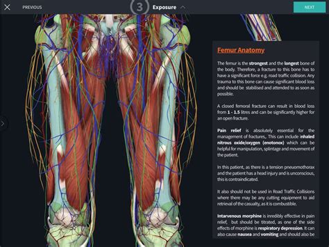 Emergency Medicine And Trauma Complete Anatomy