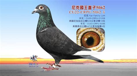 【尼克】cu22 Crpu 5062 Youtube