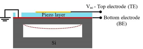 Anatomy Of A Piezoelectric Micromachined Ultrasonic Transducer