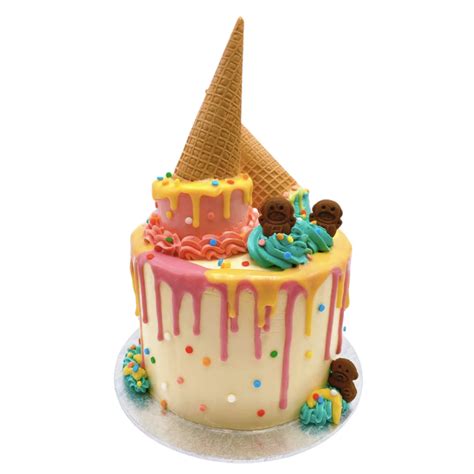 Melty Ice Cream Cake Celebox